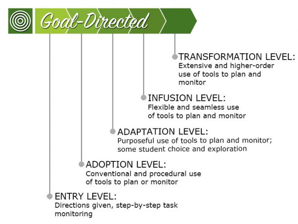 Goal-Directed Levels | TIM