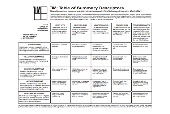 Table of Summary Descriptors | TIM