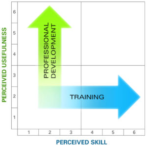 Perceived Skill and Usefulness | TIM