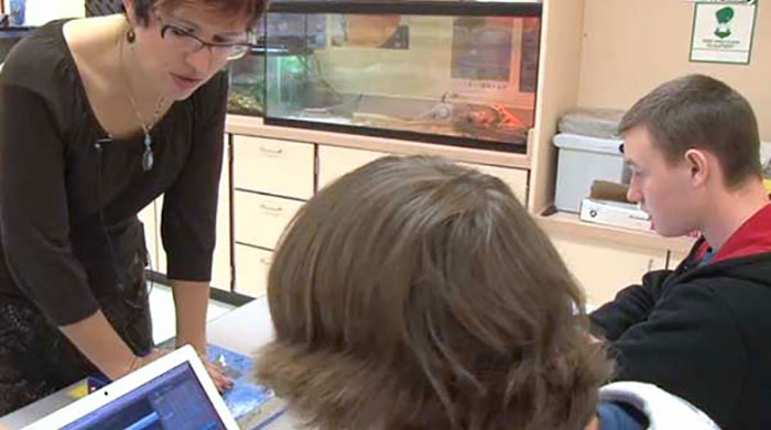 constructive_transformation_socialstudies | TIM