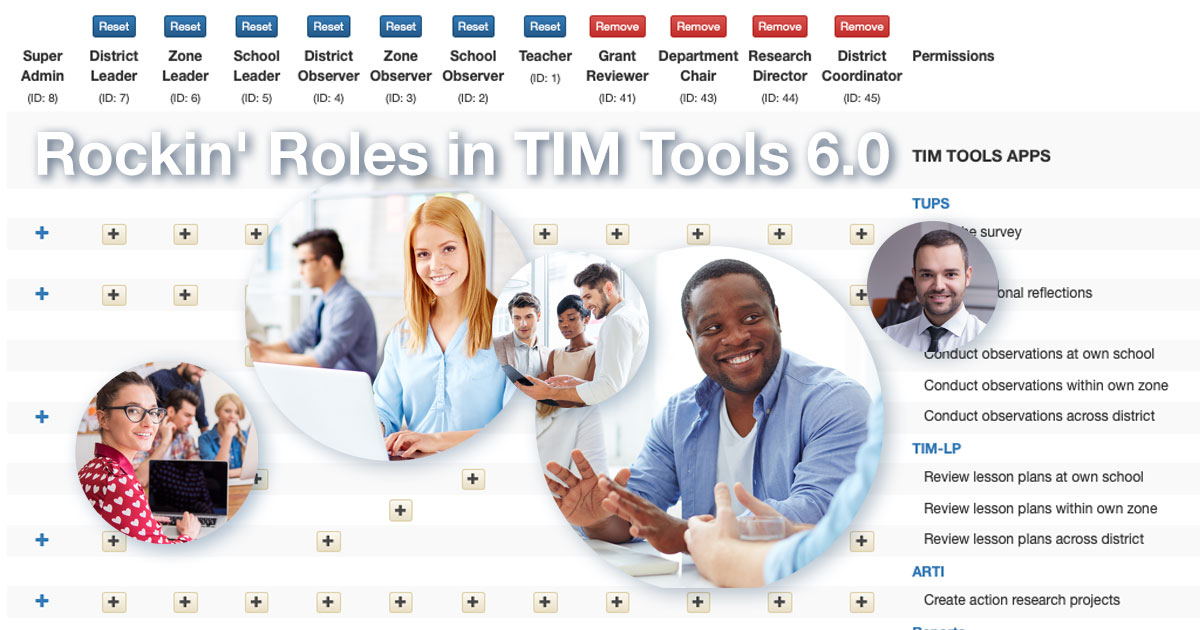 Rockin’ Roles in TIM Tools | TIM