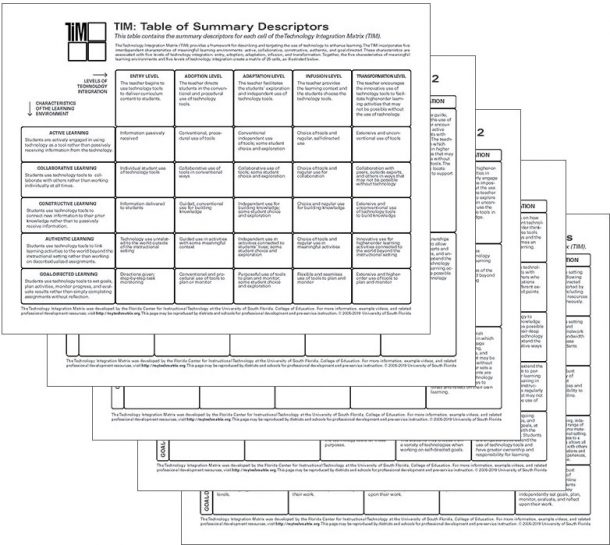 TIM Descriptors | TIM