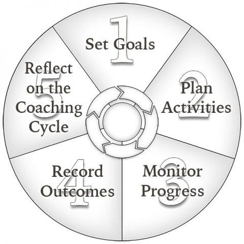 A Coaching/Mentoring Tool for All Subject Areas | TIM