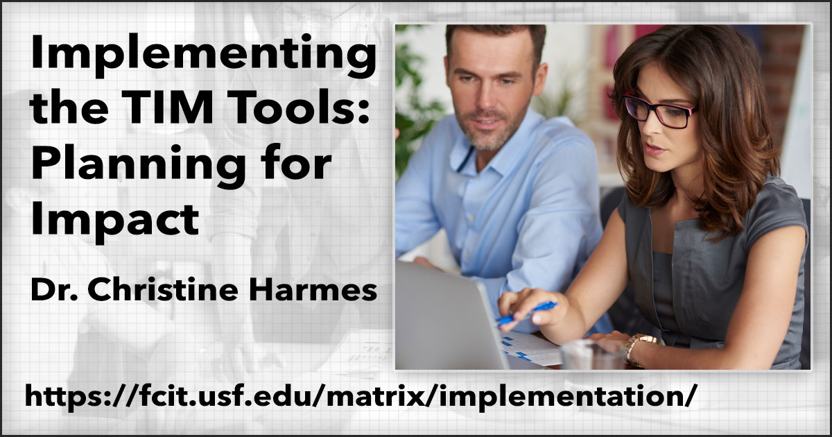 Implementing the TIM Tools: Planning for Impact | TIM