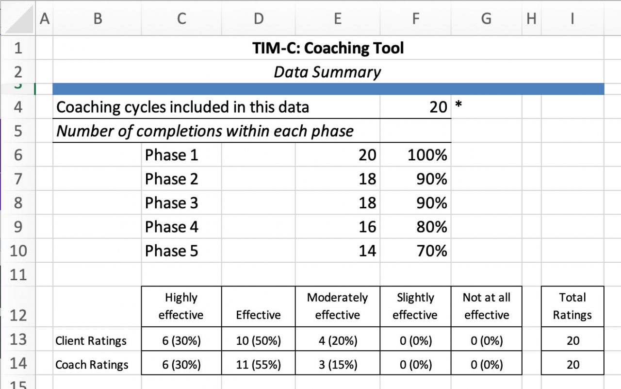Using TIM Tools Data Analysis Templates | TIM