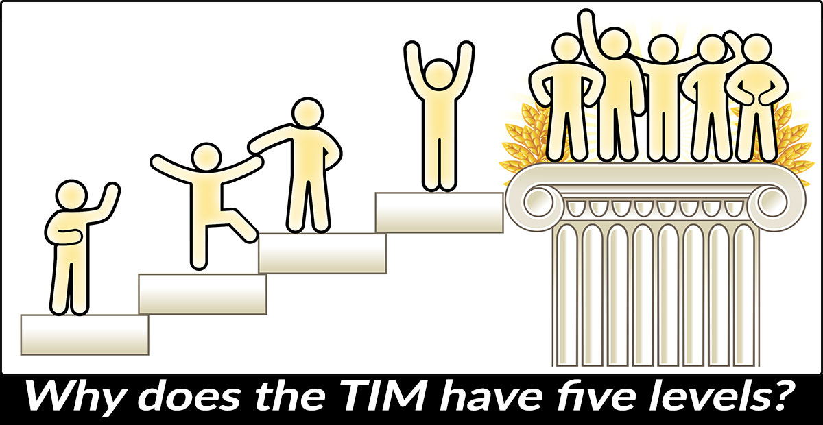 Why does the TIM have 5 levels? | TIM
