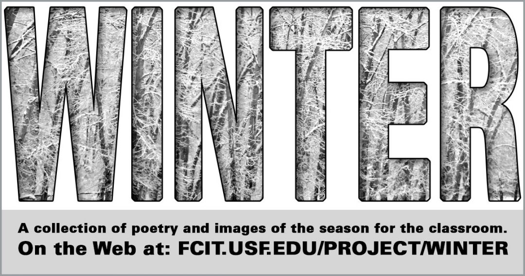 December: Winter Begins | FCIT