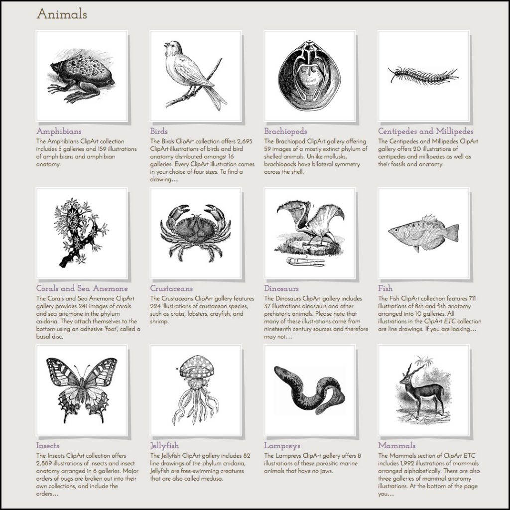 May 23: Carl Linnaeus | FCIT