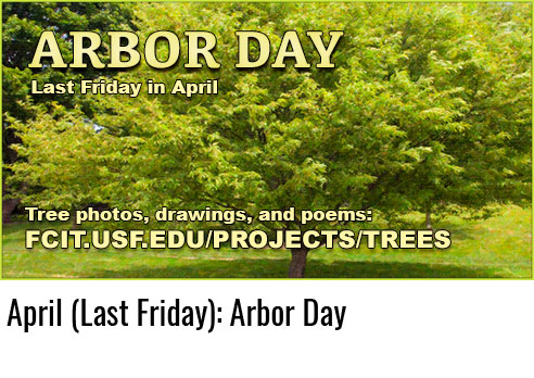 FCIT | Florida Center for Instructional Technology