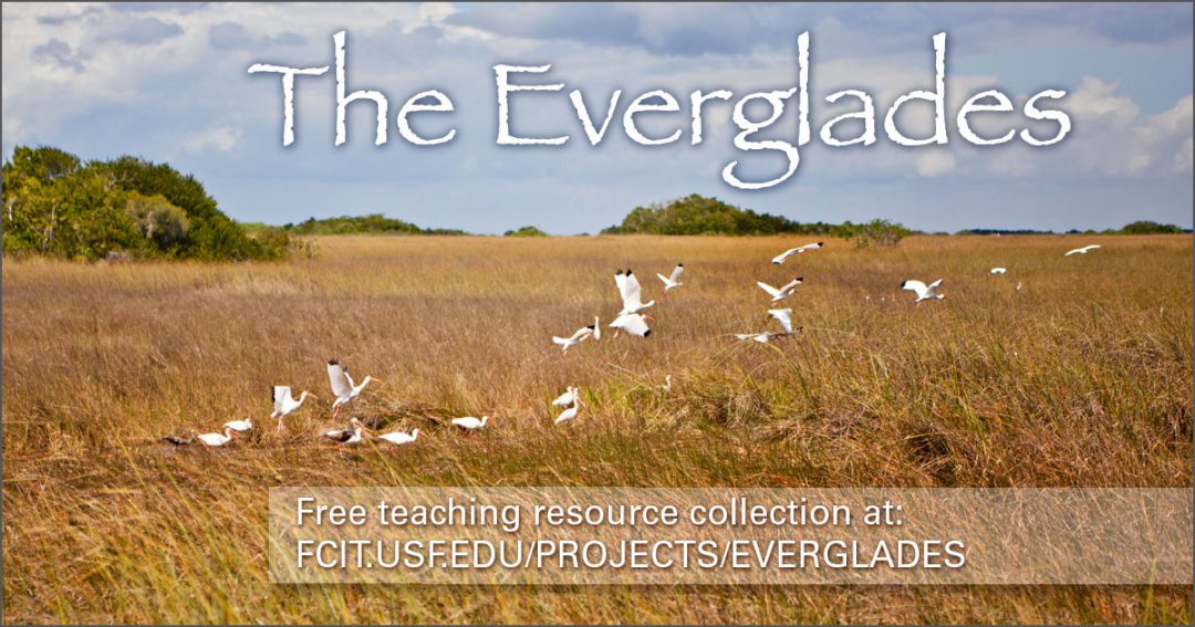 Everglades Teaching Collection | FCIT