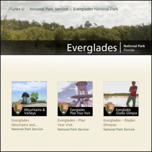 December 6: Everglades National Park Established | FCIT