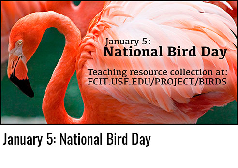 FCIT | Florida Center for Instructional Technology